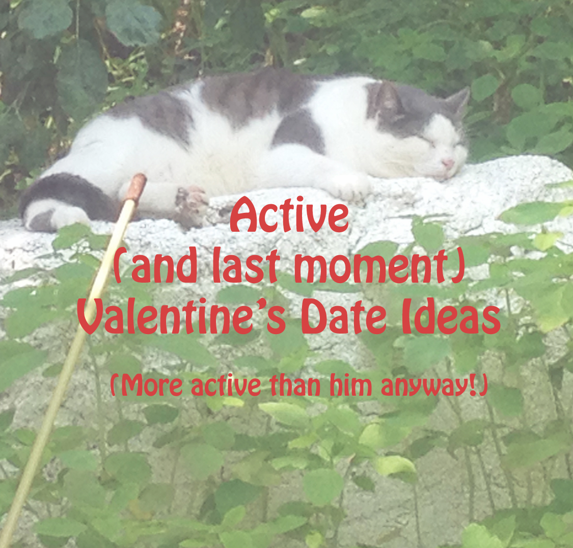Active Date Ideas for Valentine’s Day – Sweat Sweetly