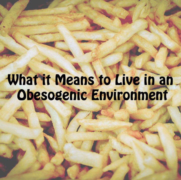 What it Means to Live in an Obesogenic Environment – Sweat Sweetly