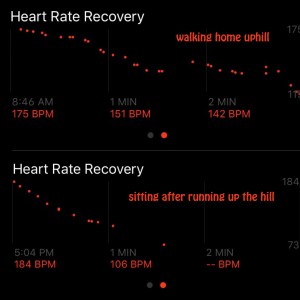 The Science of Heart Rate Recovery: How Good is Yours? – Sweat Sweetly