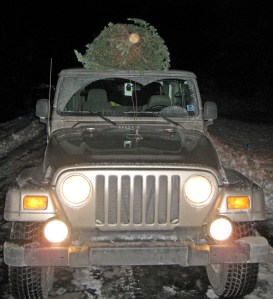 AWD, 4WD and 2WD systems explained Just in Time for Winter – Sweat Sweetly