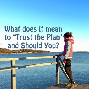 What Does it mean to Trust a Plan and Should you? – Sweat Sweetly