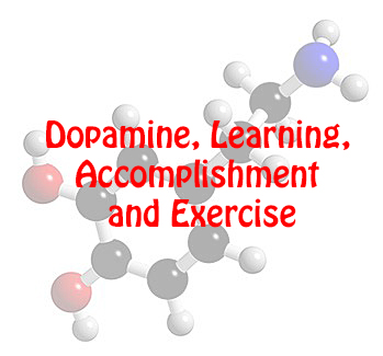 Dopamine, Learning, Accomplishment and Exercise – Sweat Sweetly