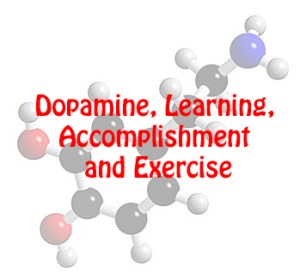 Dopamine, Learning, Accomplishment and Exercise – Sweat Sweetly
