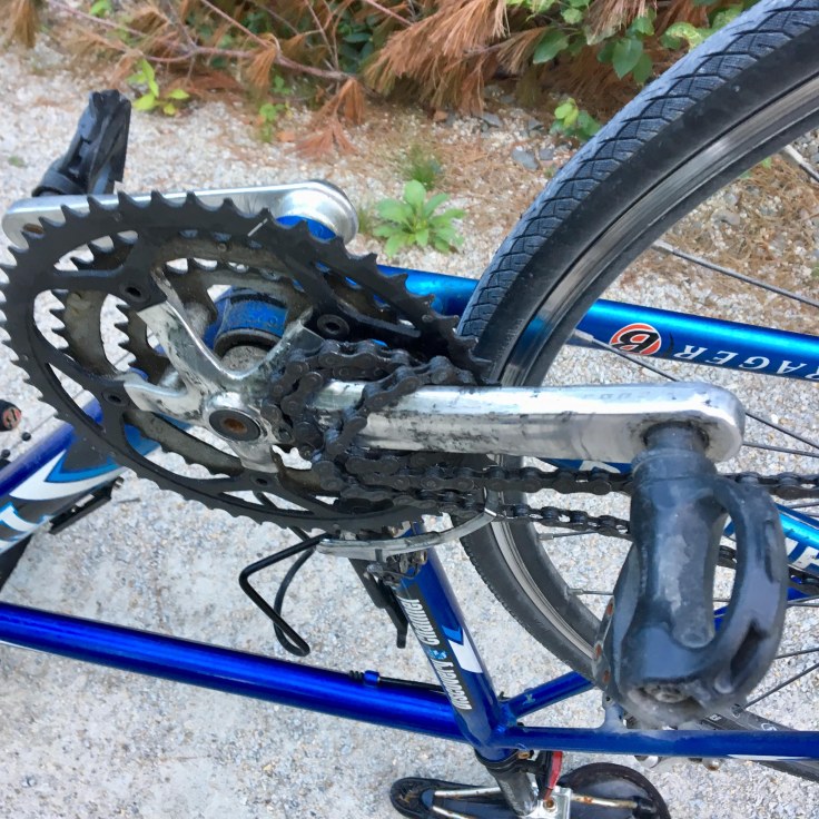 Celebrating the Partners of Training Athletes – Sweat Sweetly